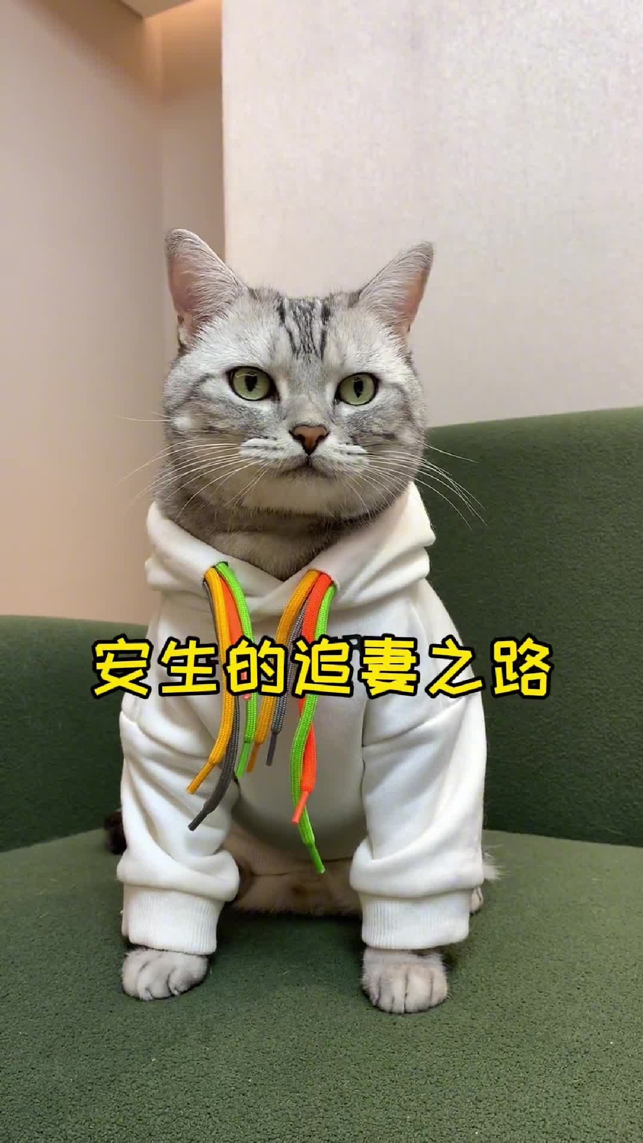 时隔两年安生和泡芙终于要见面啦好紧张结束异地恋