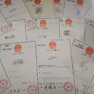 知识产权鑫同学 