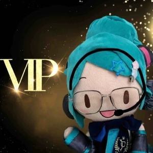 VIP专属金牌客fu 