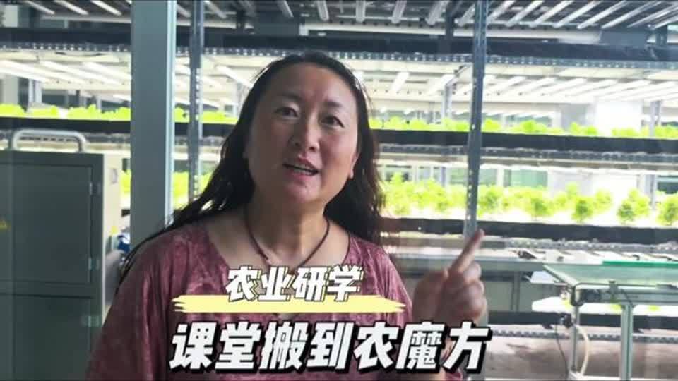 把课堂搬到农博园,传统农耕与科技农业都值得研学学习 无土栽培蔬菜 ...