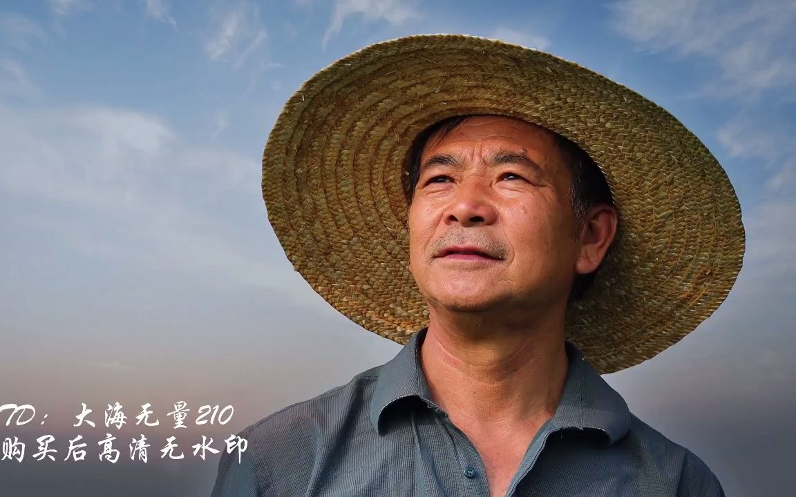 4939131 4k稻田农民劳作希望田野 生态农业粮食丰收农业宣传片视频...