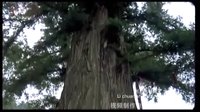 恩施城市旅游宣传片(一)