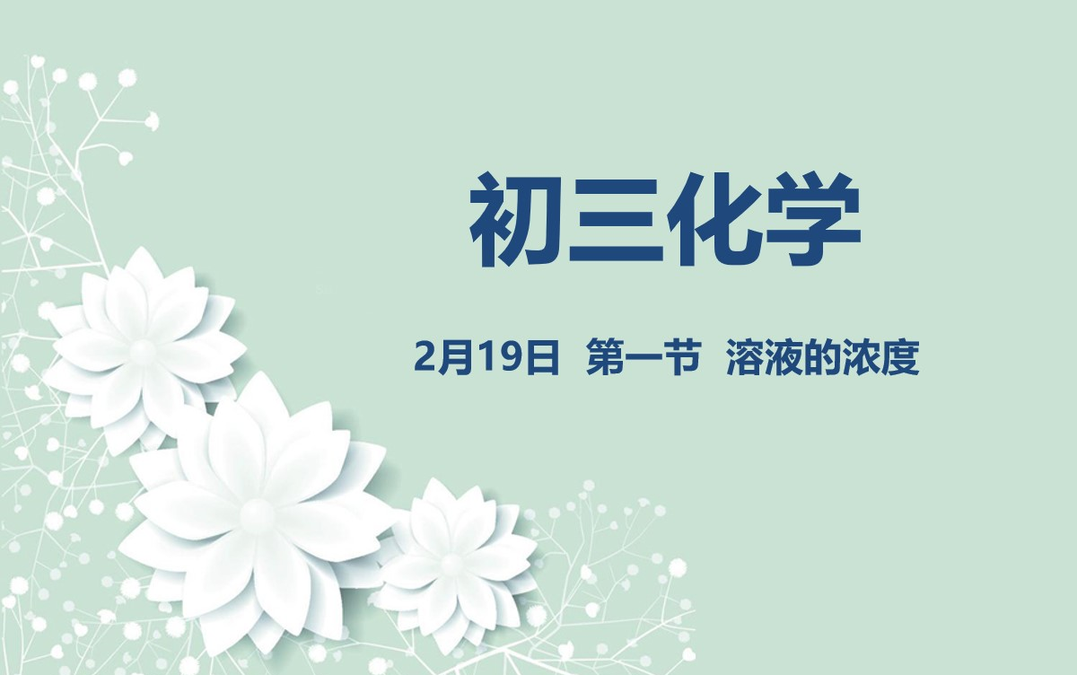 初三化学02-19 溶液的浓度