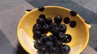 超大颗粒进口秘鲁蓝莓