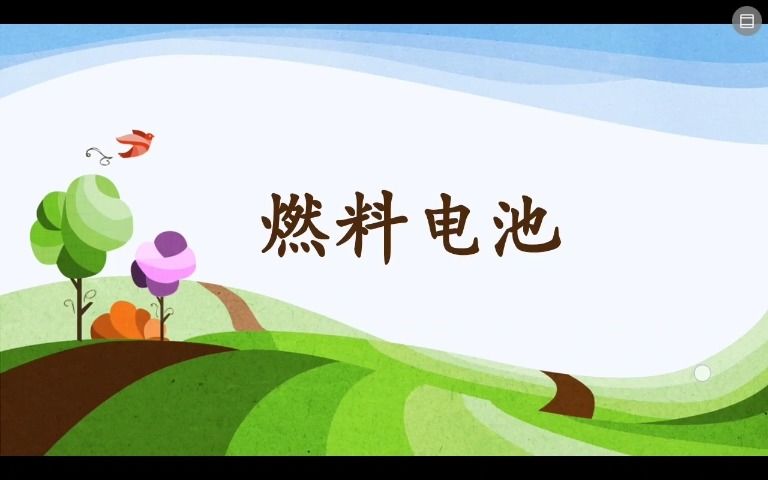 高中化学燃料电池