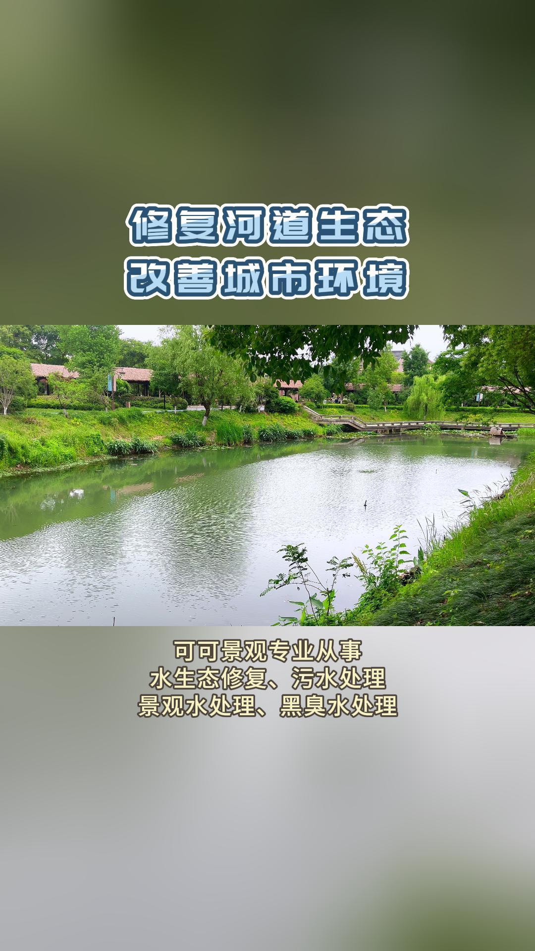 修复河道生态,改善城市环境!河道治理公司,河道治理方案,河道治理施工...