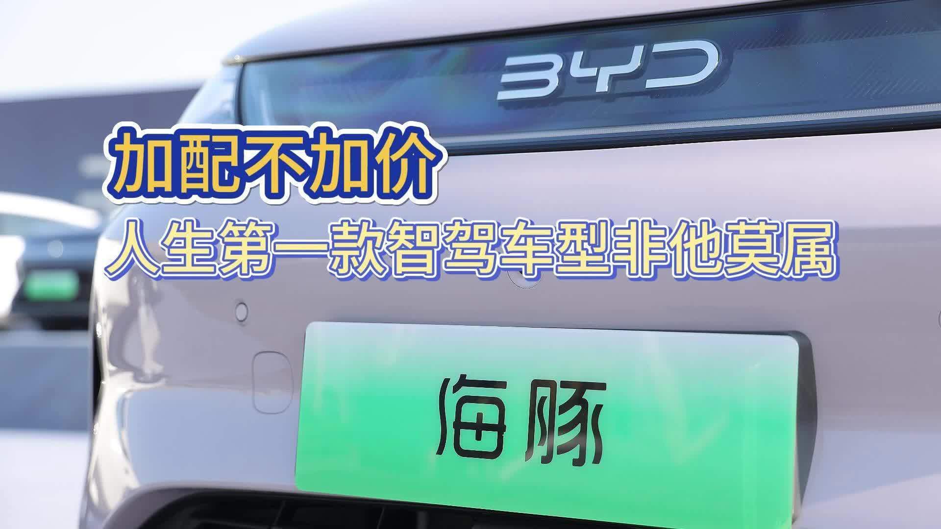 加配不加价 人生的第一款智驾车非他莫属 #比亚迪海豚