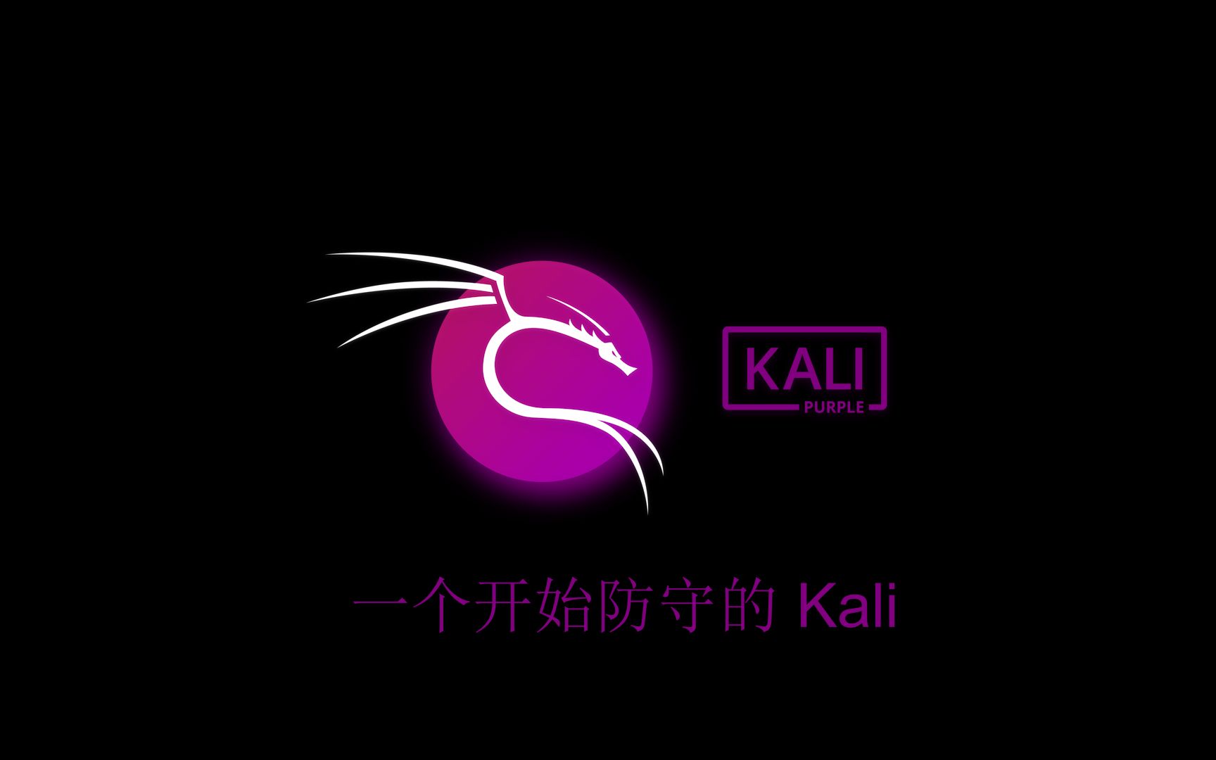 kali purple 安装教程// 一个开始防守的 ka