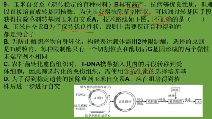 基因工程4