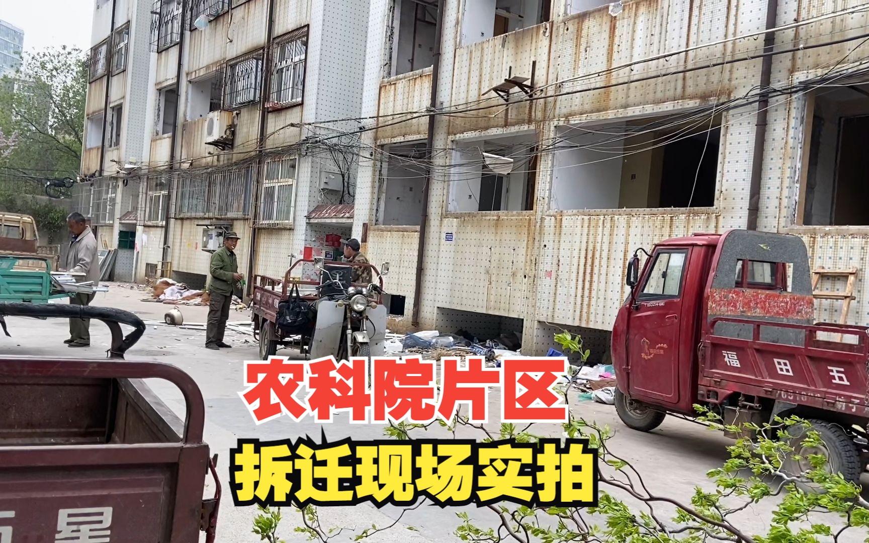 潍坊农科院片区拆迁现场,门窗地板全部拆光,连路边冬青都被挖走不少