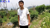 辣椒的种类繁多,该如何种植它呢?听听小翼怎么说!