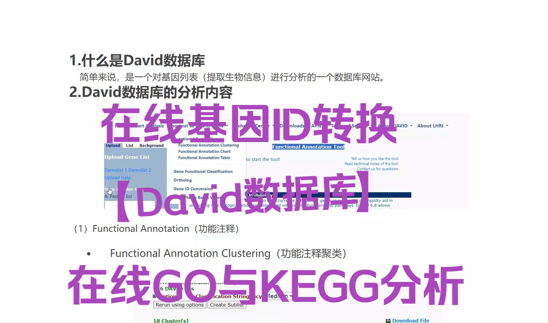 David数据库详解(在线GO与KEGG富集分析|在线基因id转换)