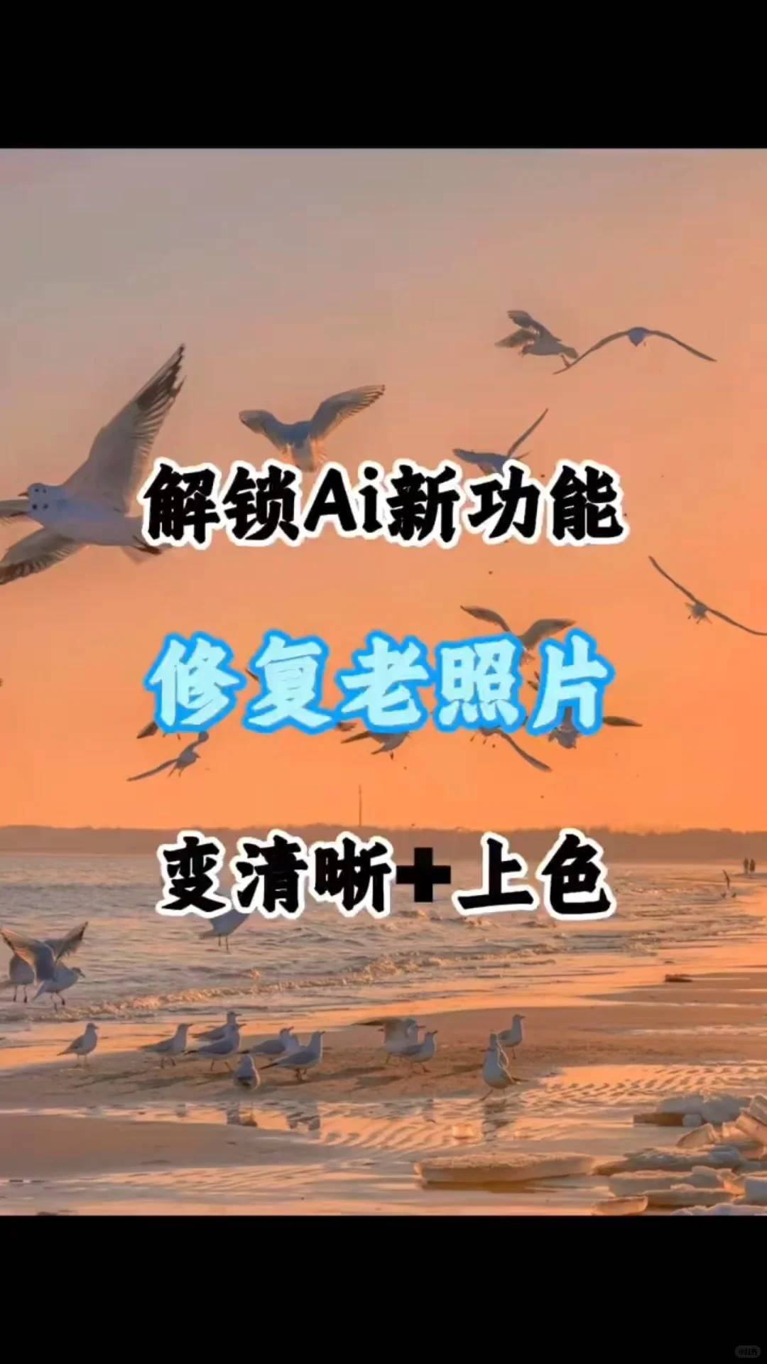 解锁Ai新功能 修复老照片 变清晰+上色