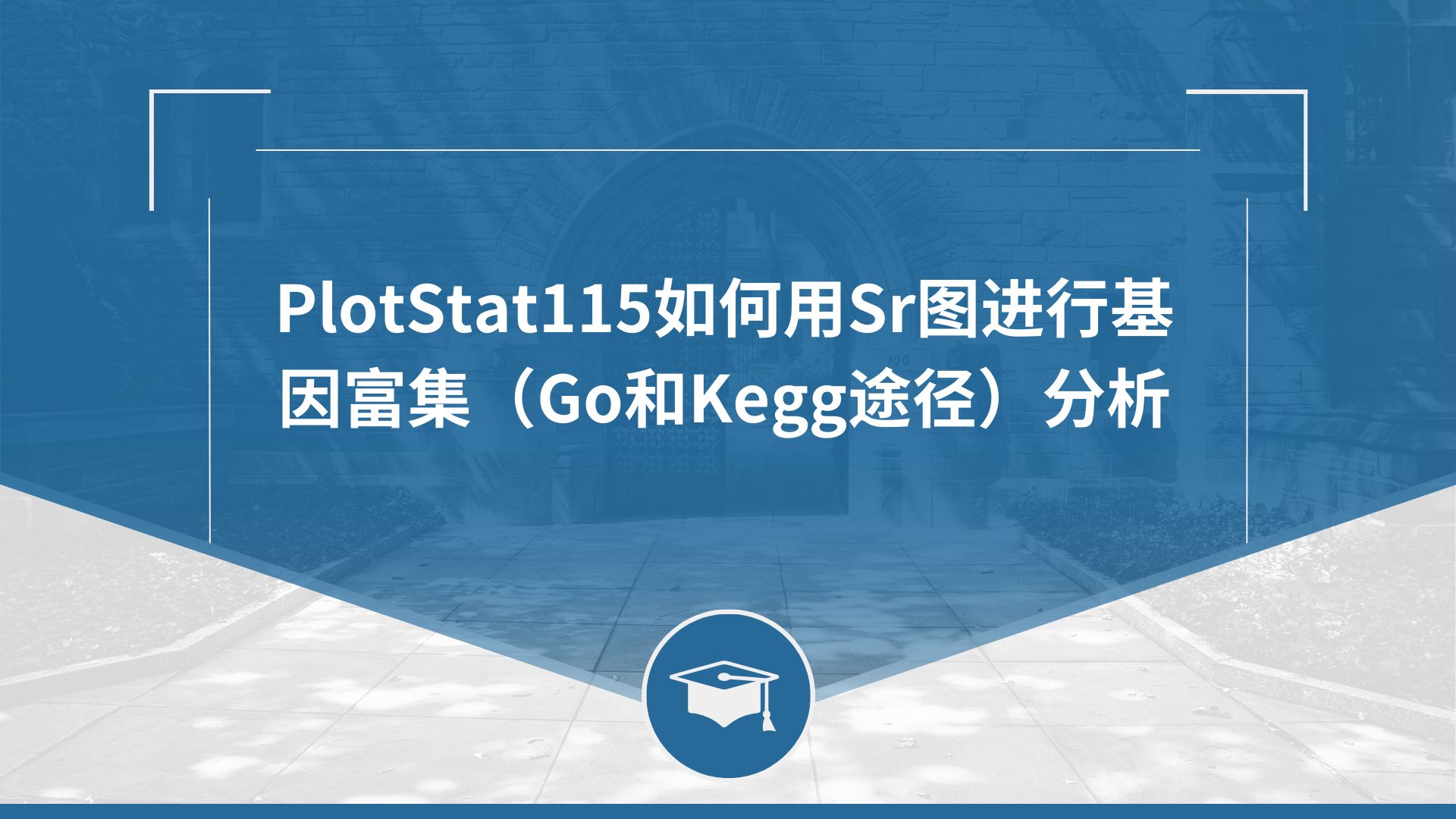如何用Sr图进行基因富集(Go和Kegg途径)分析
