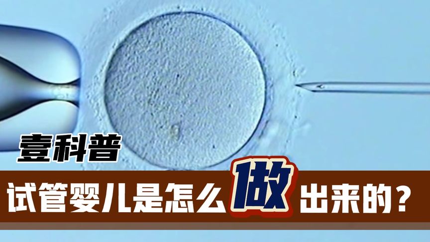 带你揭秘试管婴儿是怎么「做」出来的