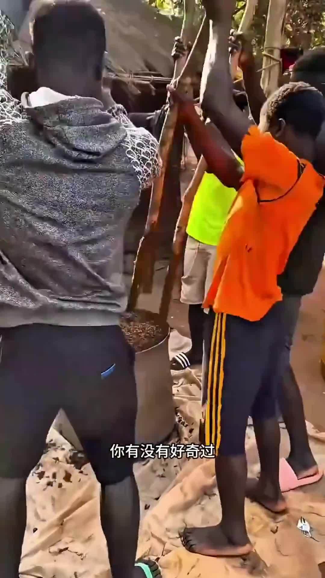 尼日利亚人如何提取棕榈油的