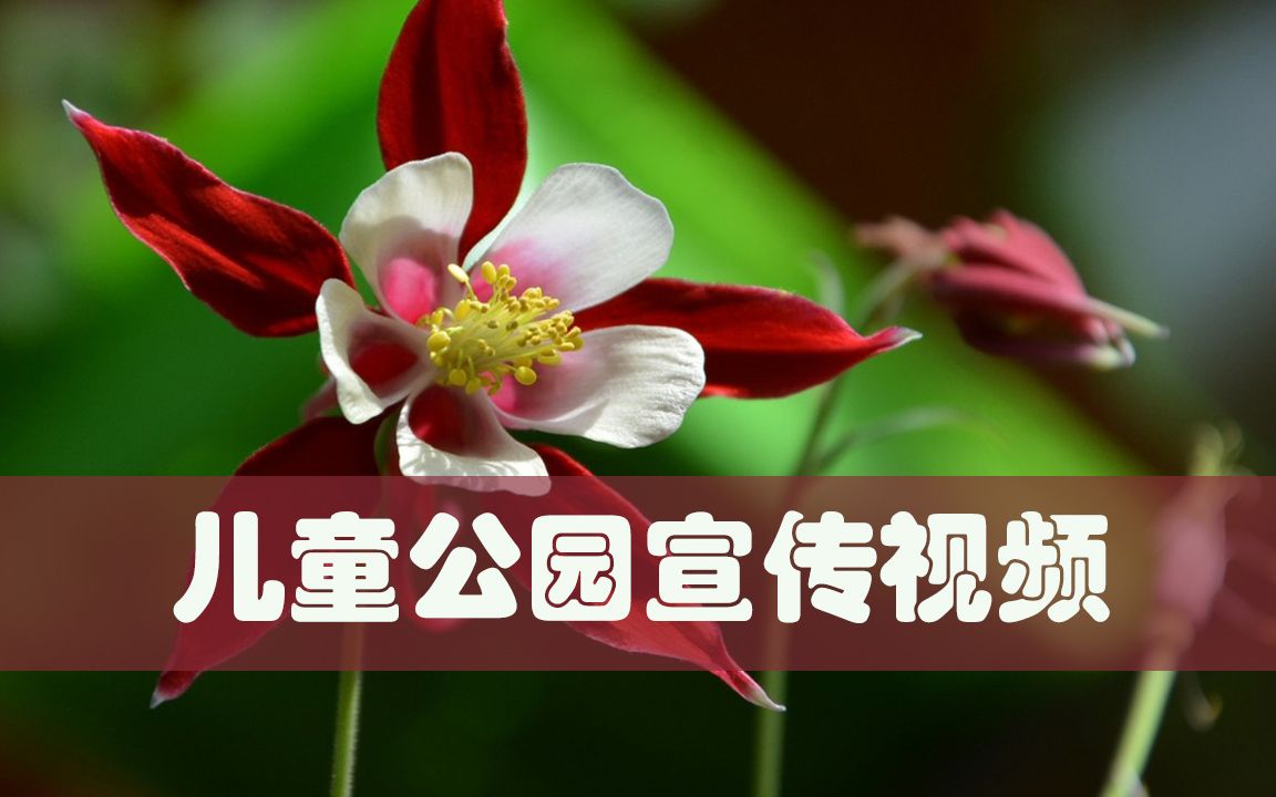 儿童公园规划设计