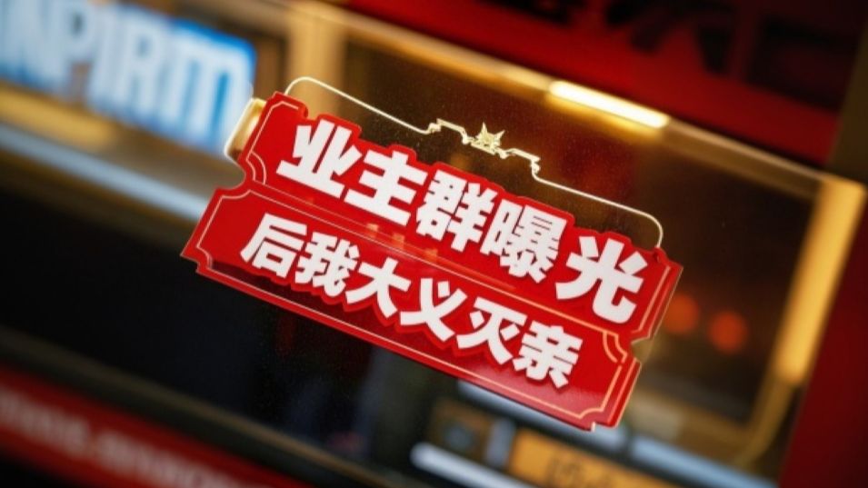 业主群曝光后我大义灭亲10-35集