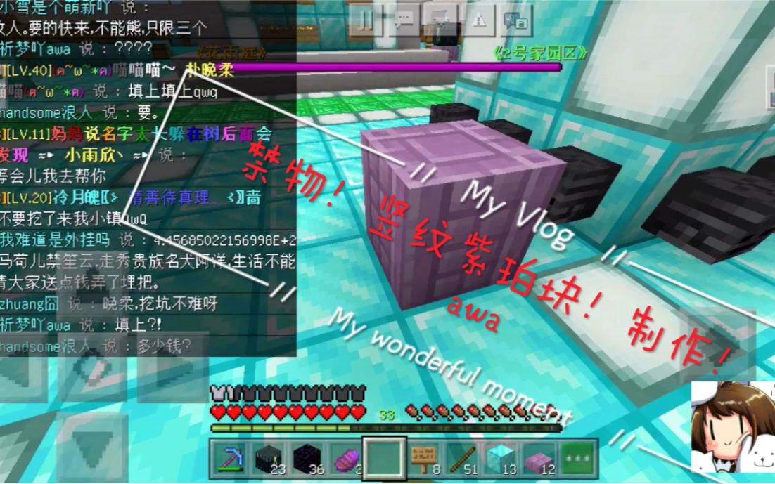 【我的世界】花雨庭生存服禁物竖纹紫珀块制作awa