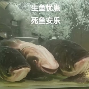 今天晚上我不想吃泡面 