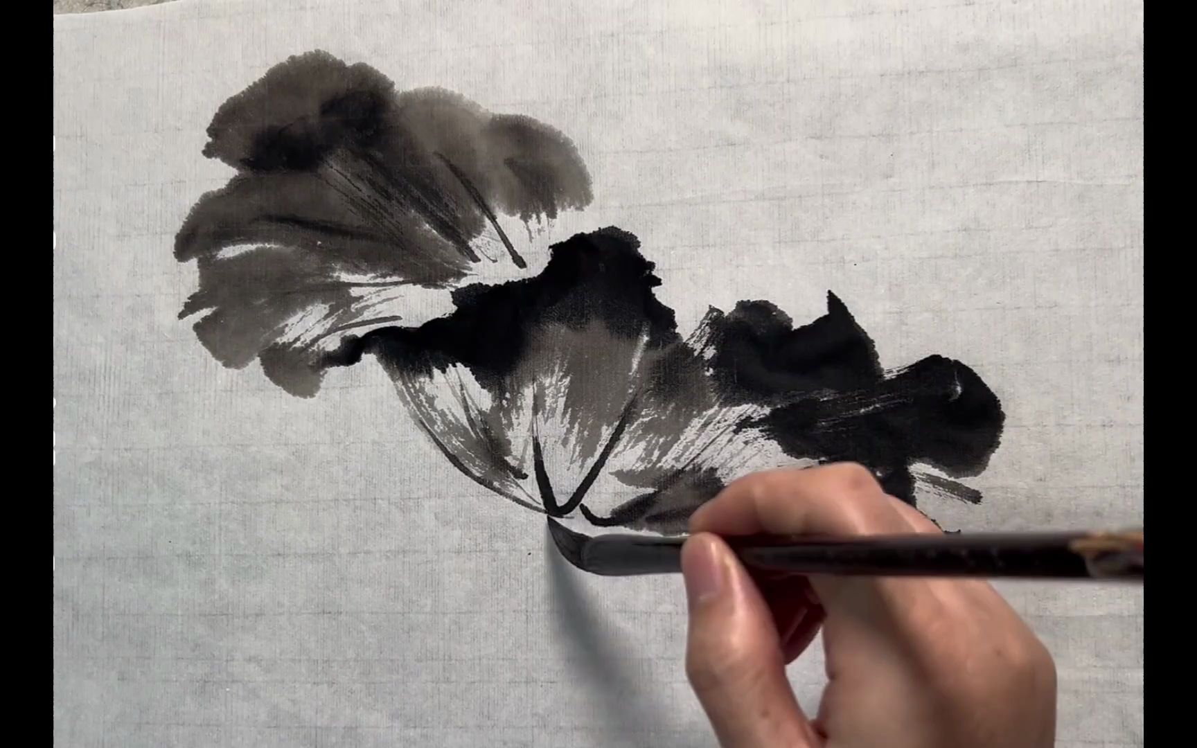 写意花鸟,画一支荷叶