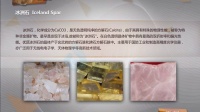 Flash 多媒体触控互动 博物馆 规划馆 企业展厅