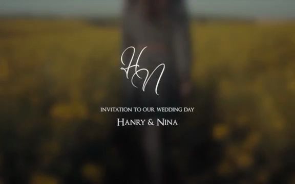 PR模板-10组浪漫小清新婚礼文字标题动画