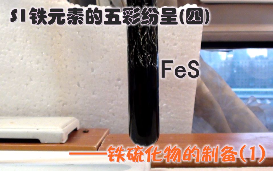 【林轩实验室】S1E4(1) 硫化亚铁的制备(离子法)