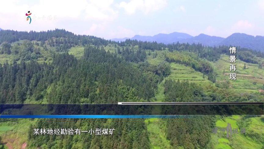 《律师说法》可以临时占用林地吗?未及时恢复林地植被怎么处理?