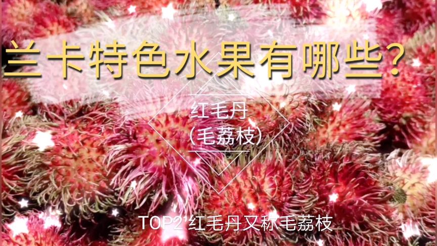 斯里兰卡TOP9特色好吃水果,是否有你喜欢的?最好吃的谁?