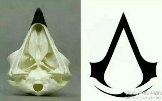 刺客信条 (关于袖剑的选择)刺客修炼之路第一期试制(非公版)