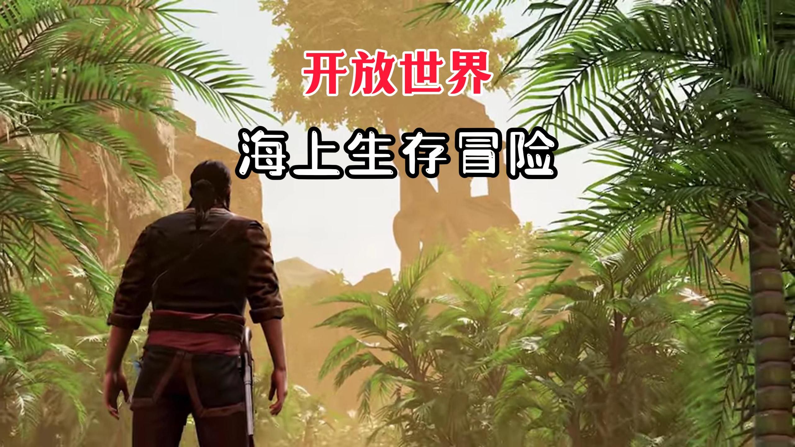 海盗模拟组建船队打劫商队吞并港口开放世界海上生存冒险新游...