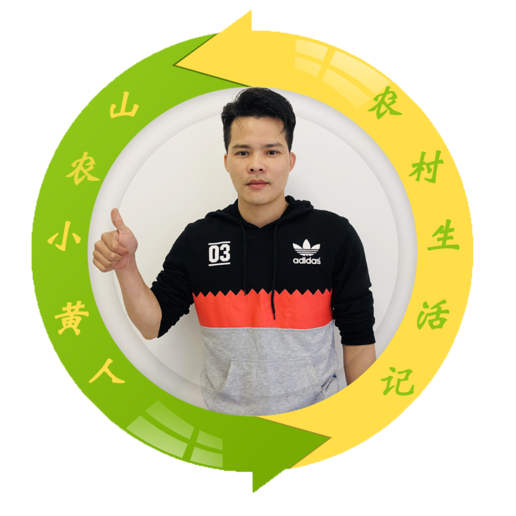 山农小黄人 