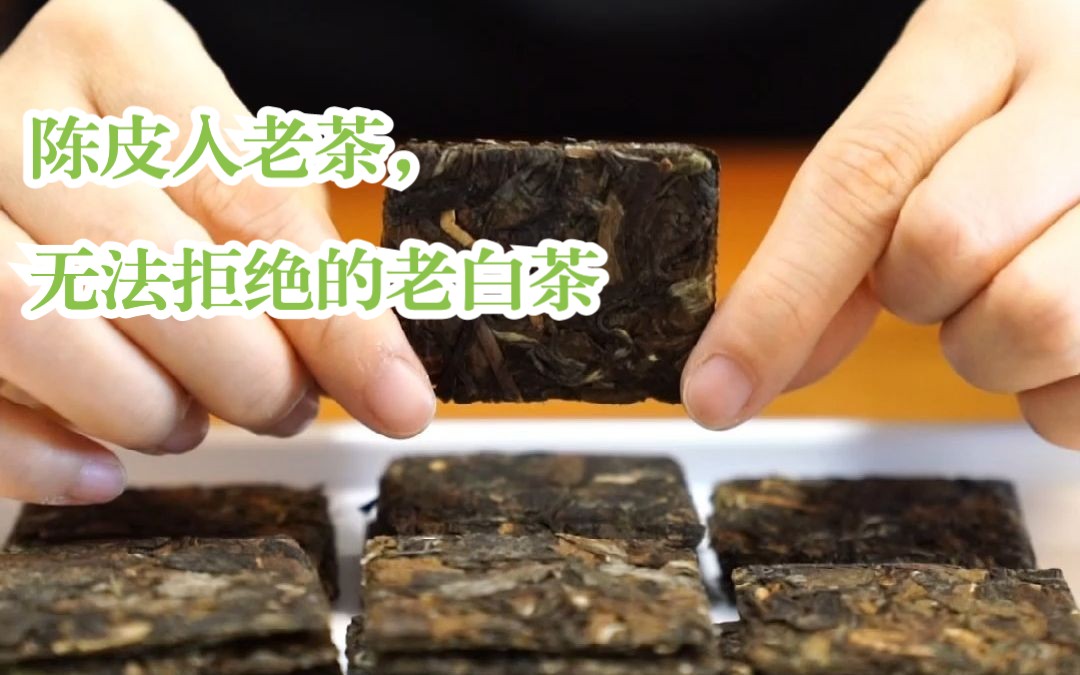 【当陈皮遇上老白茶】口口是精华!特殊时期的安全感是陈皮白茶给的ߍ