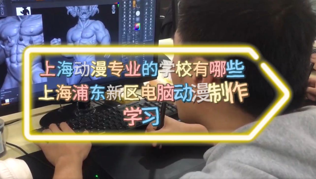 上海动漫专业的学校有哪些,上海浦东新区电脑动漫制作学习
