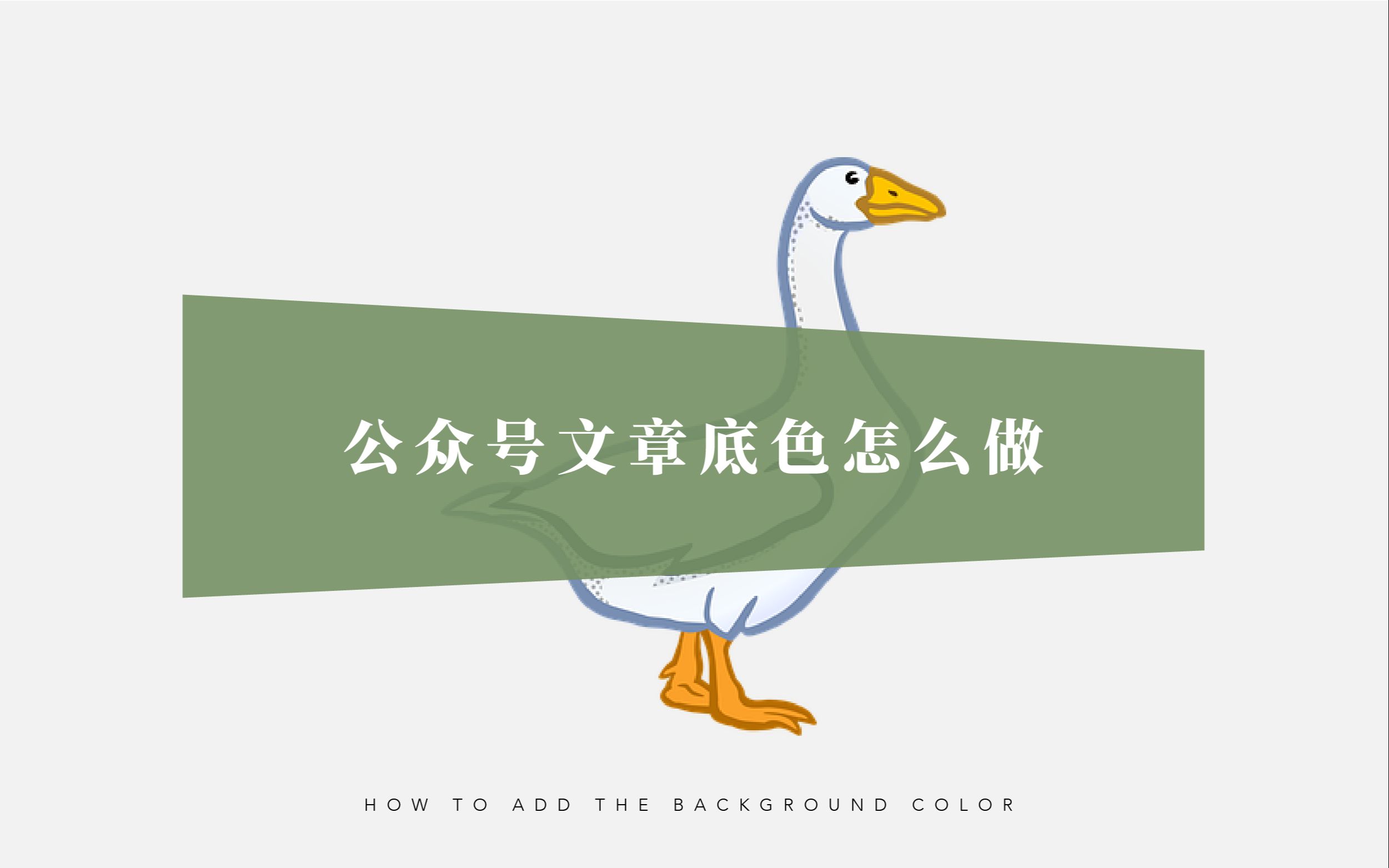 公众号文章底色怎么做