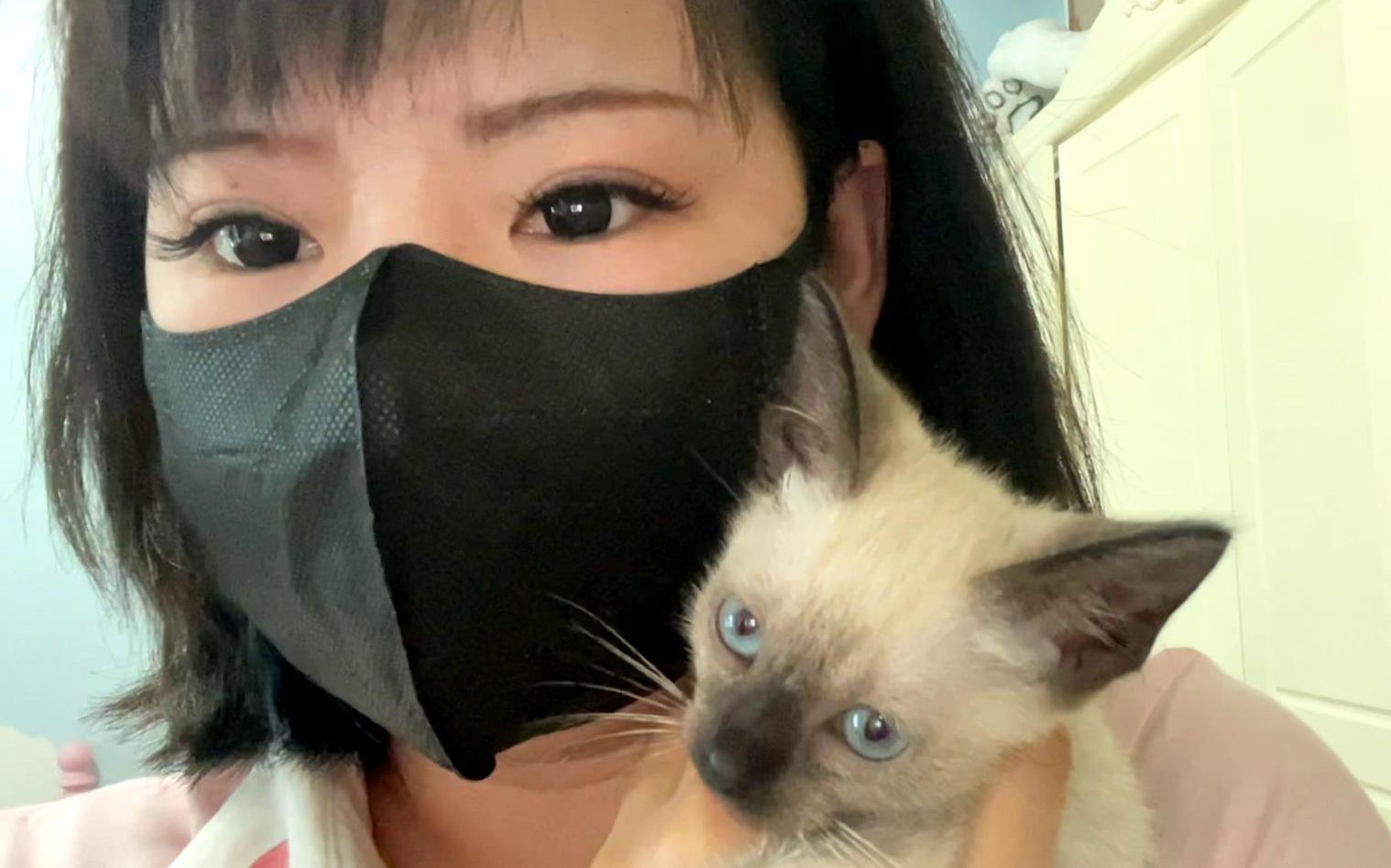 被小奶猫咬后需要打狂犬疫苗吗?来看看最正确的做法