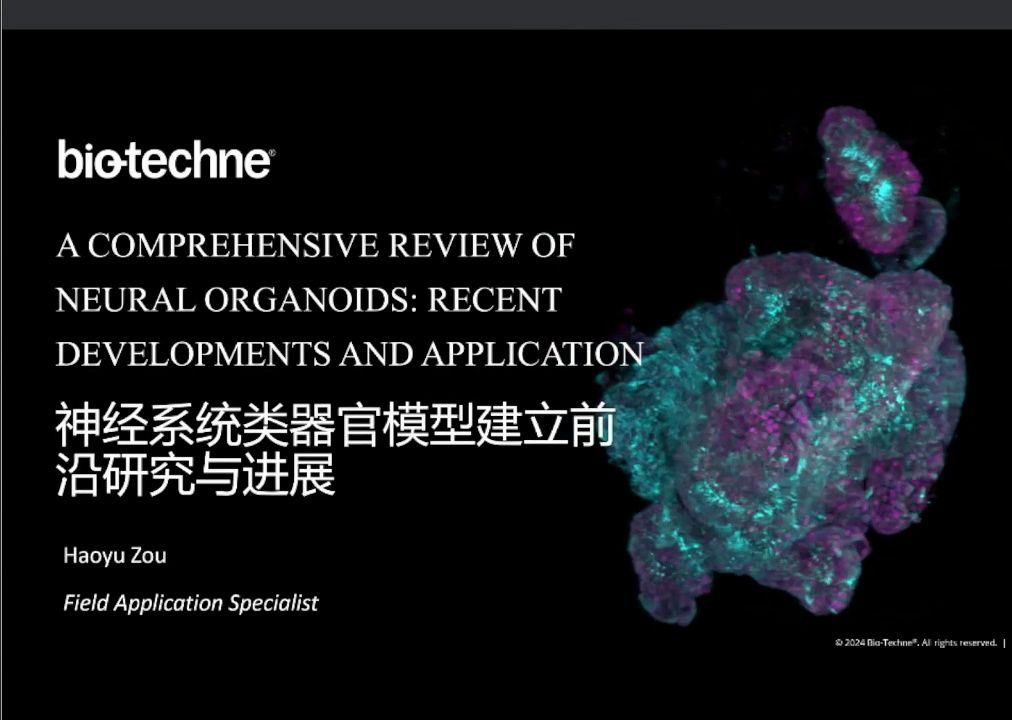 类器官与再生医学的研究进展与应用