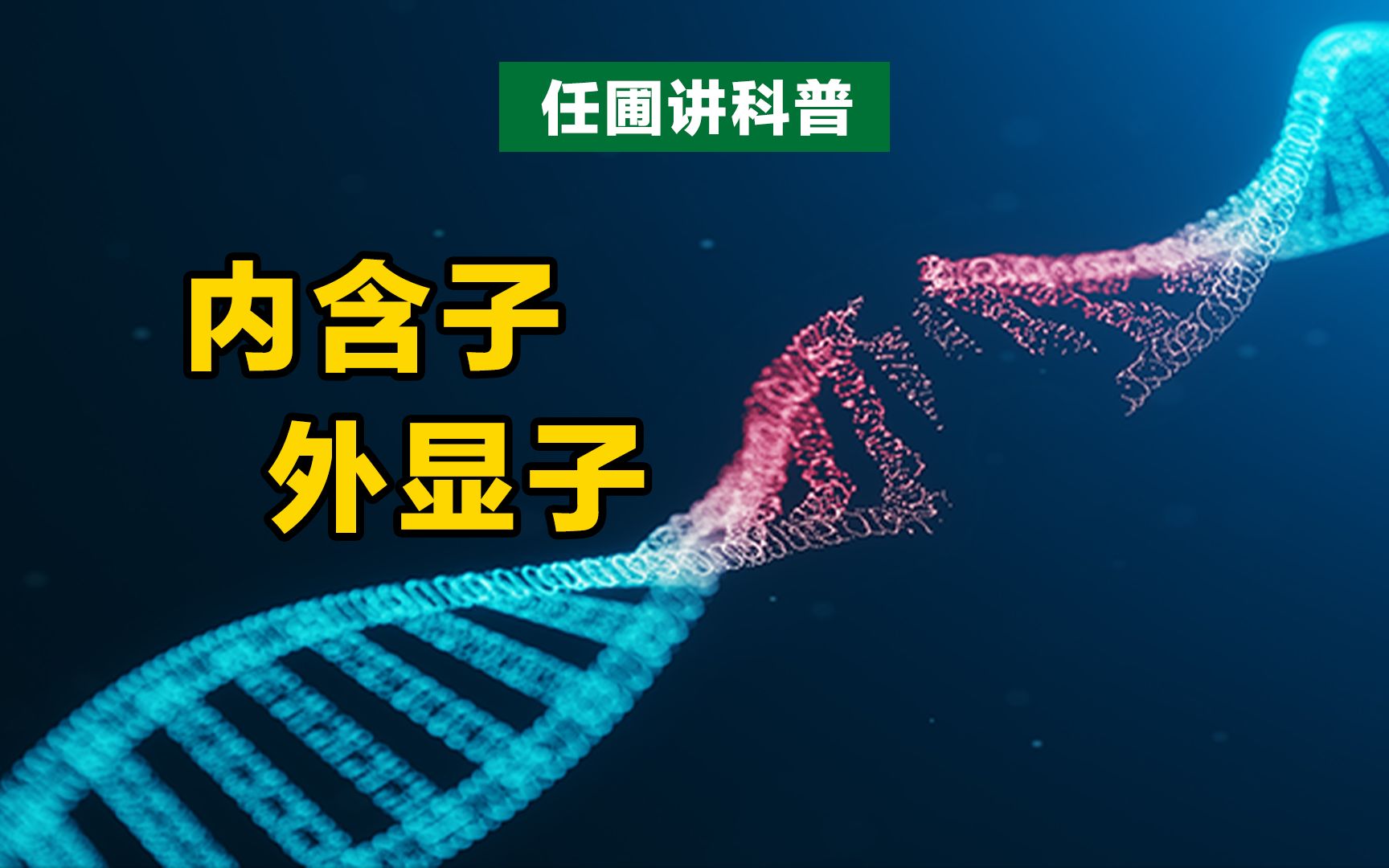【任圃讲科普】什么是内含子与外显子?