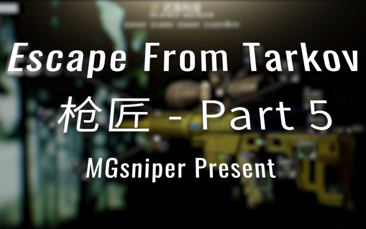 【MGsniper的逃离塔科夫】新版枪匠5改枪攻略 DVL-10
