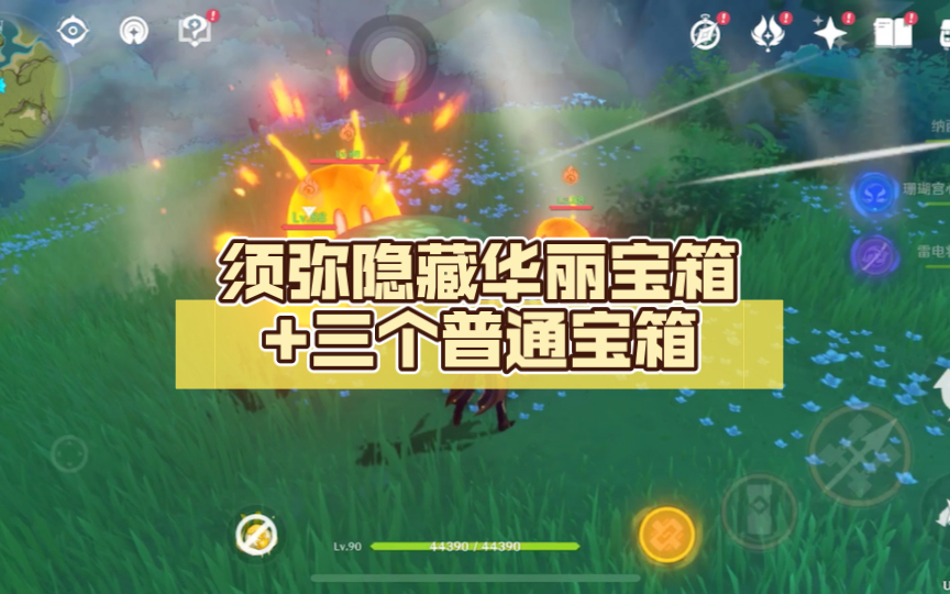须弥隐藏华丽宝箱+三个普通宝箱