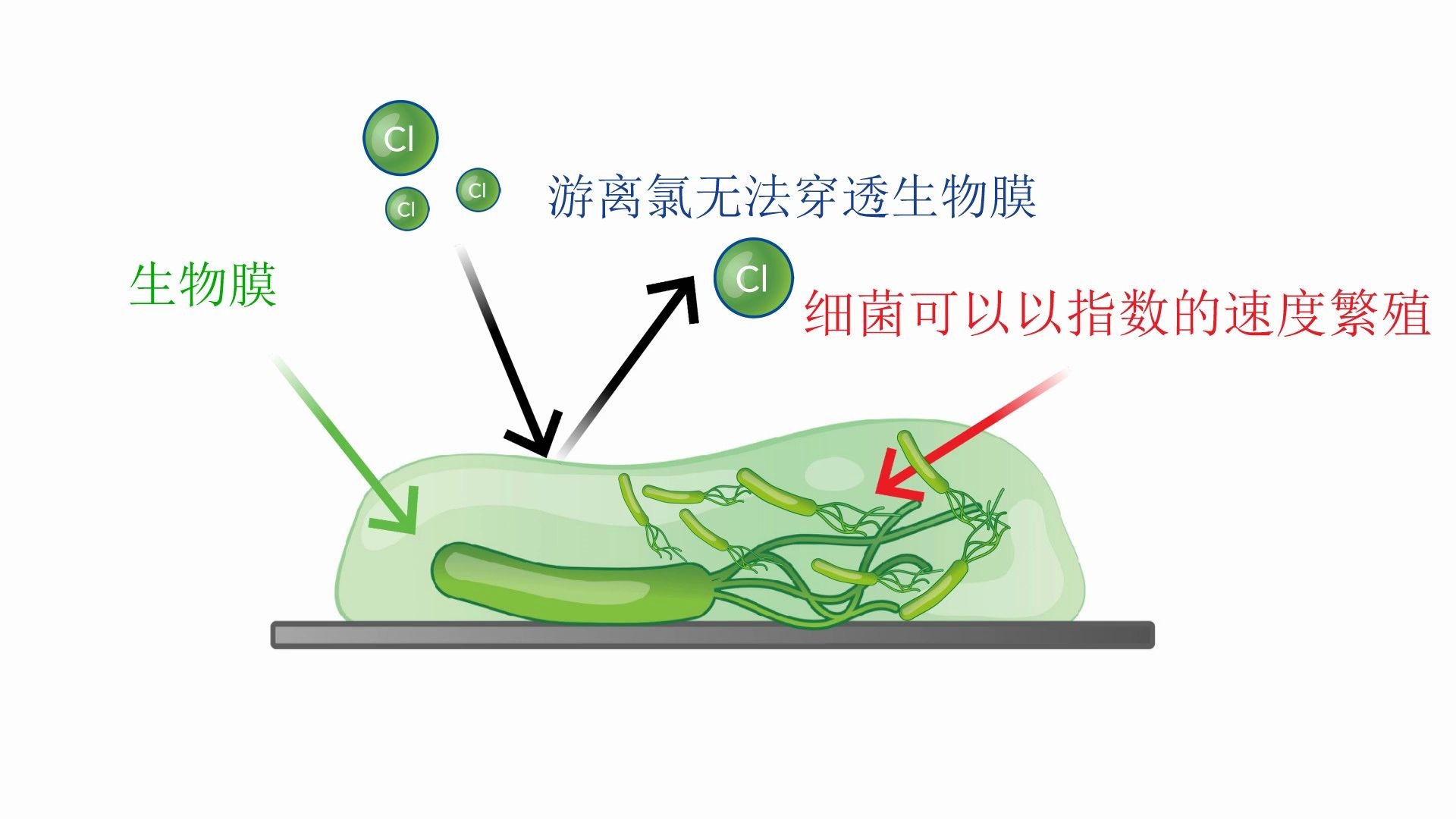 戴思乐无氯泳池-新型介质AFM滤料过滤原理