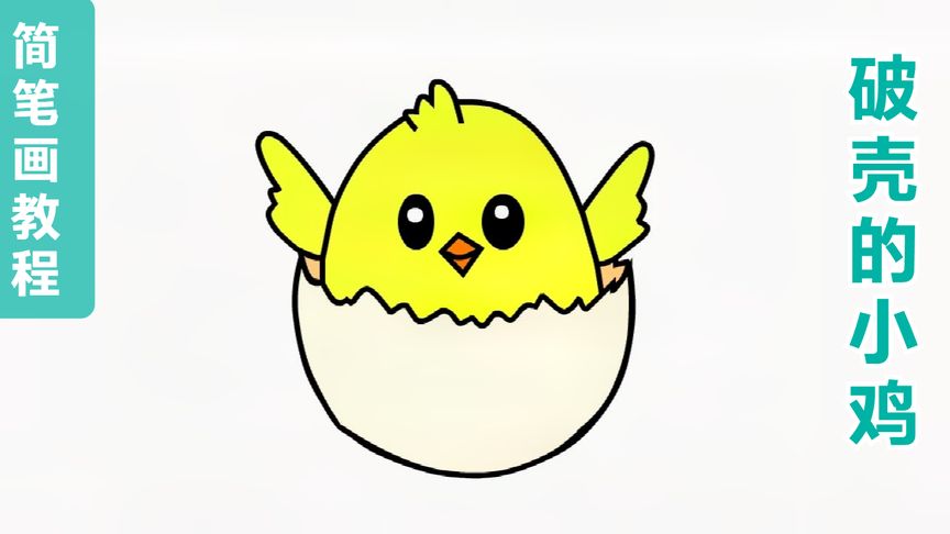 破壳的小鸡简笔画教程,教小朋友如何画家禽,儿童宝宝幼儿美术