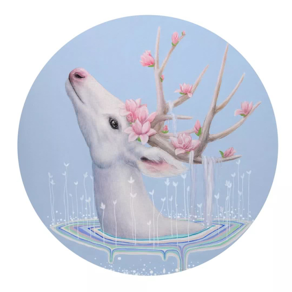 茶树在山上 
