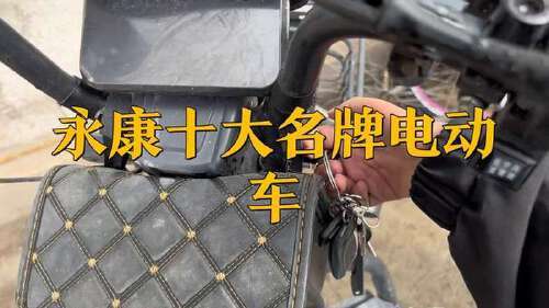 永康电动车十大品牌盘点,谁才是真正的性价比之王?