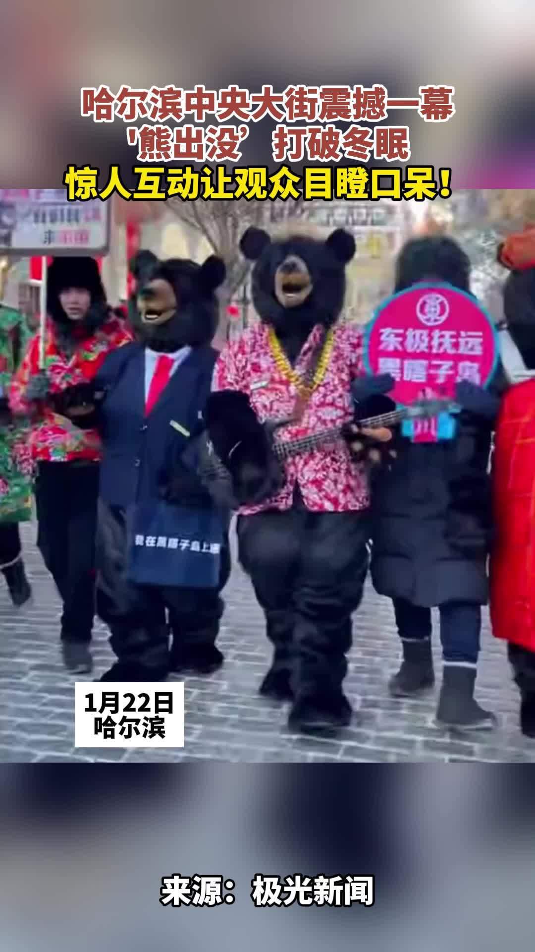 哈尔滨中央大街,'熊出没'打破冬眠,惊人互动让观众目瞪口呆!