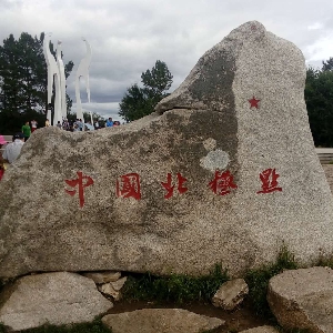 北洋丨浪里个浪 