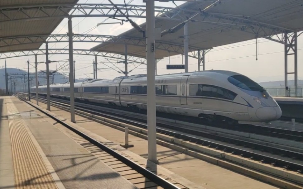 ...·哈大高铁标杆车』哈尔滨局CRH380BG-5582担当G49次列车(大连...