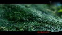 《凡人修仙传》(炼气期)韩立与南宫婉大战墨蛟!