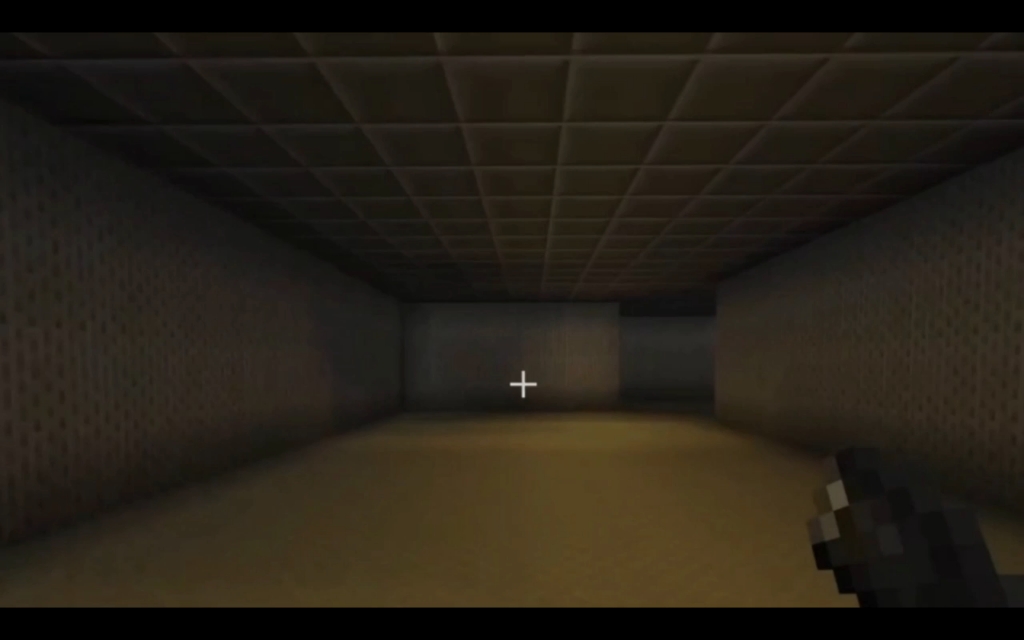 我的世界后室,正式开始